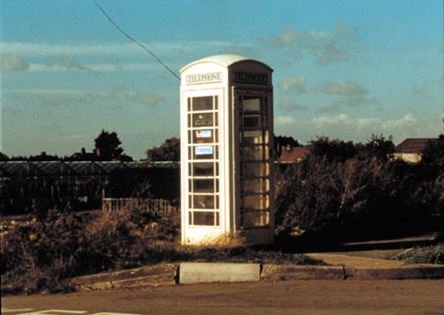 Memefest Knowledge by Donald Weber